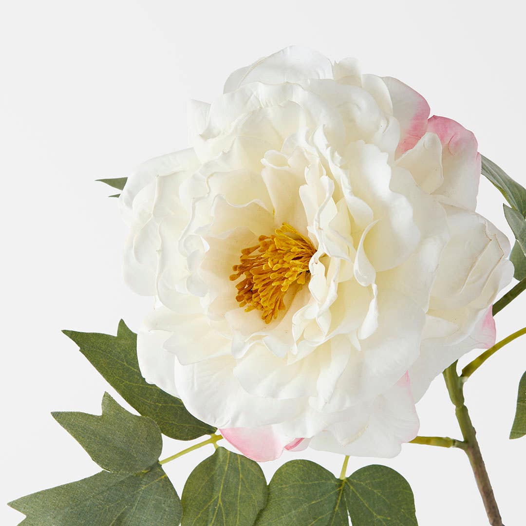 Shop Peony Stem Online | Bed Bath N' Table