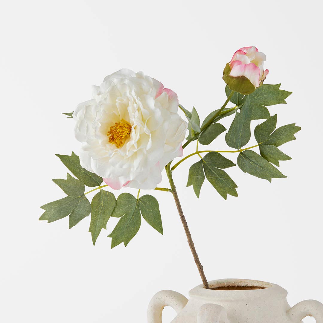Shop Peony Stem Online | Bed Bath N' Table