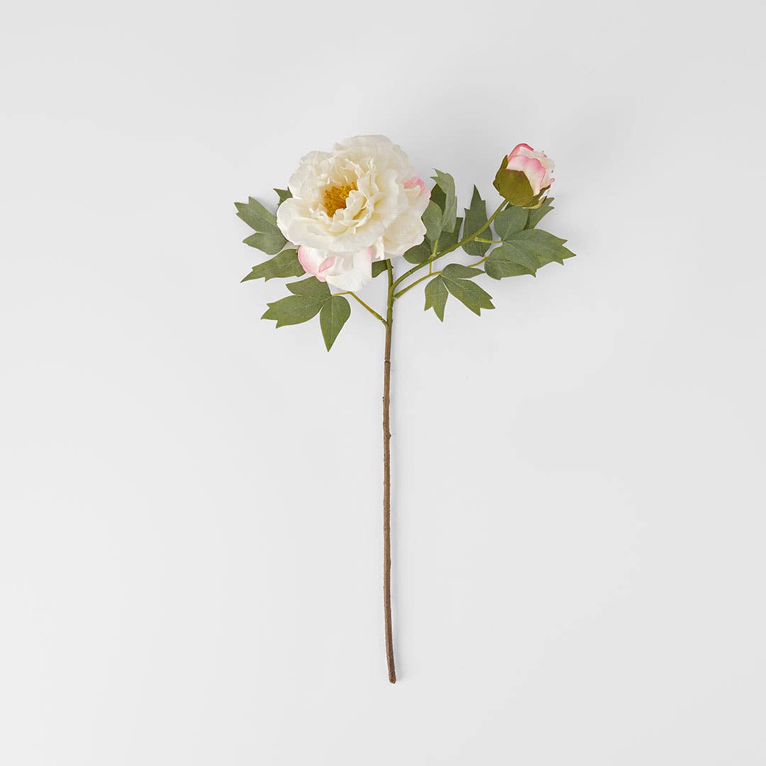 Shop Peony Stem Online | Bed Bath N' Table