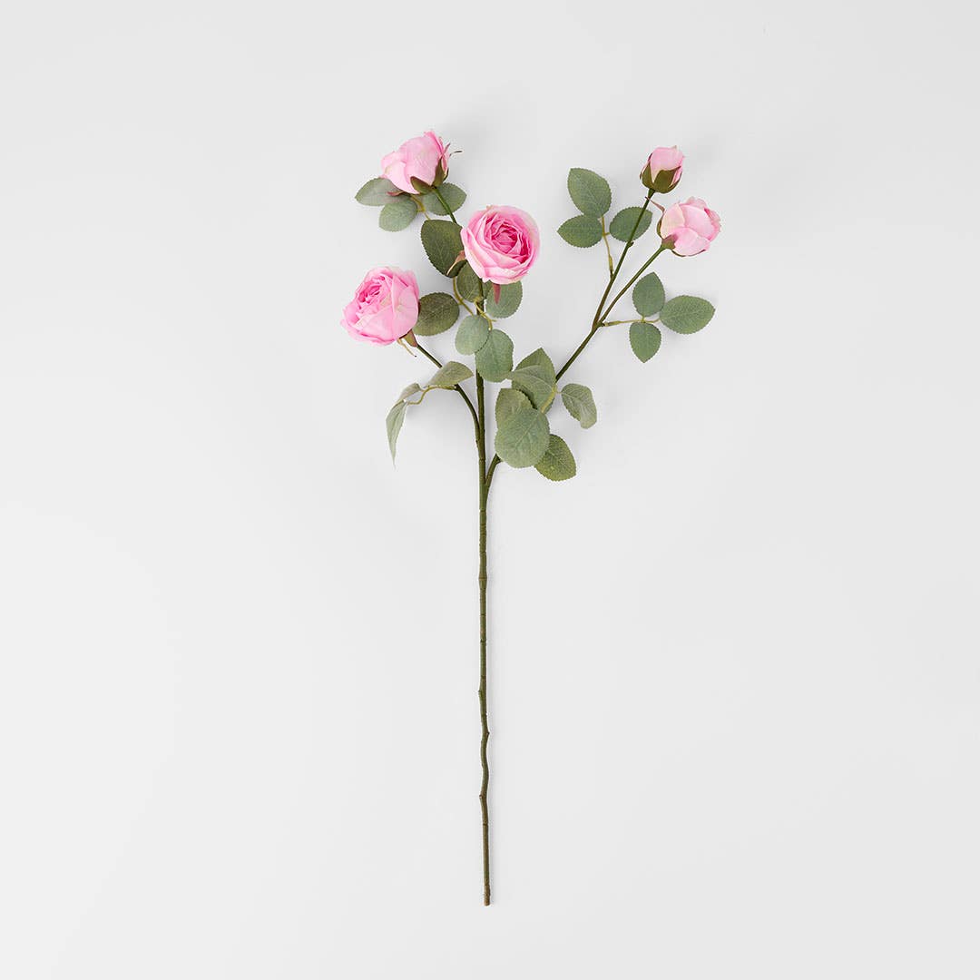 Shop Rose Stem Online | Bed Bath N' Table